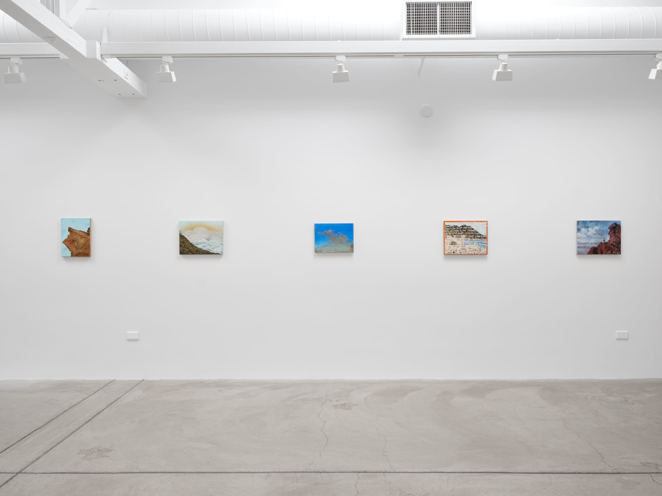 Caragh Thuring - - Exhibitions - Anthony Meier