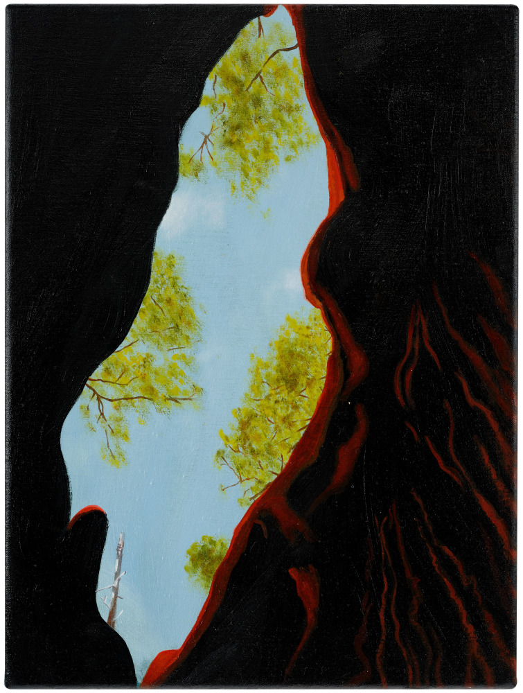 Caragh Thuring - - Exhibitions - Anthony Meier