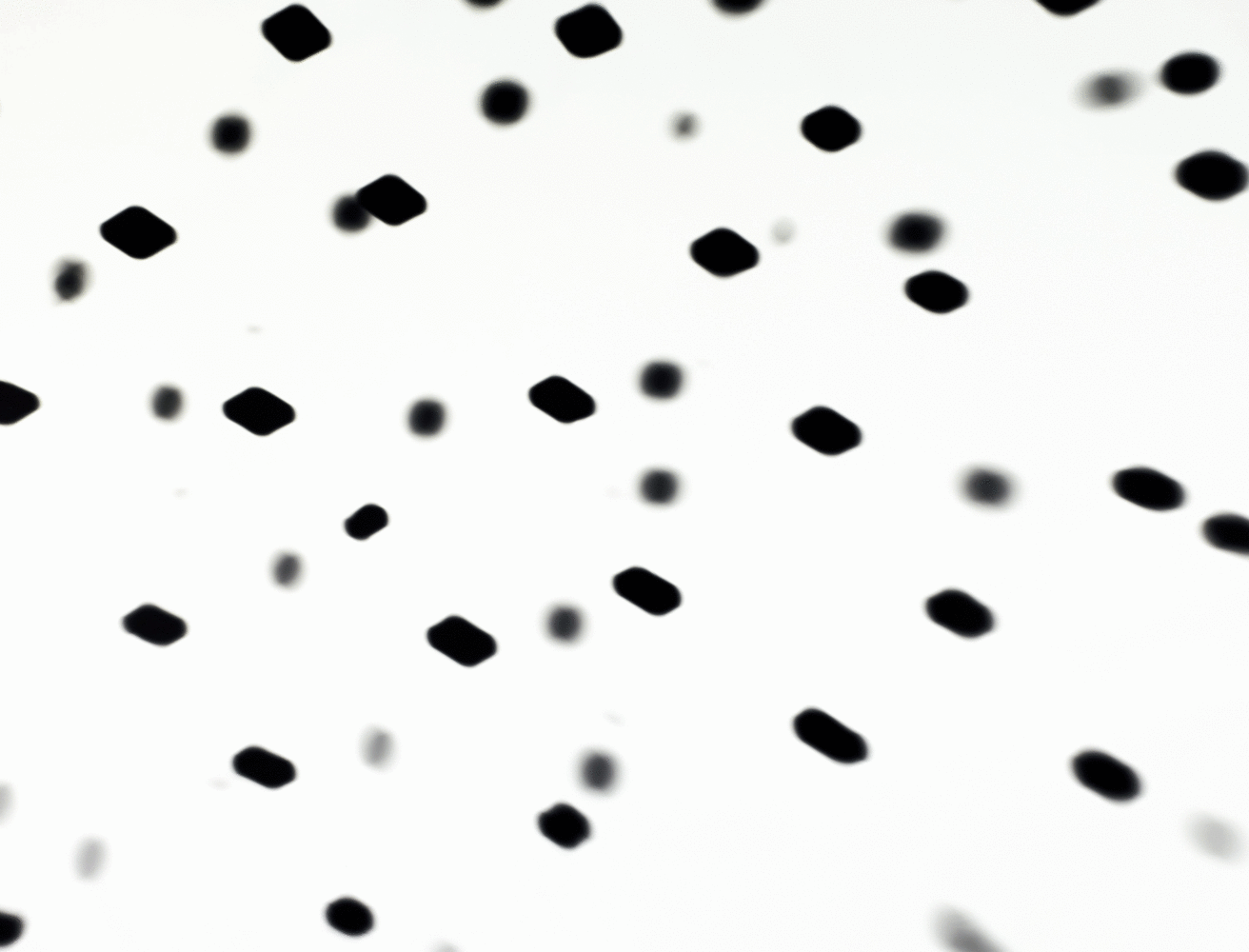 Homage to a Circle: Tammy Rae Carland, Marsha Cottrell, Zoe Leonard ...