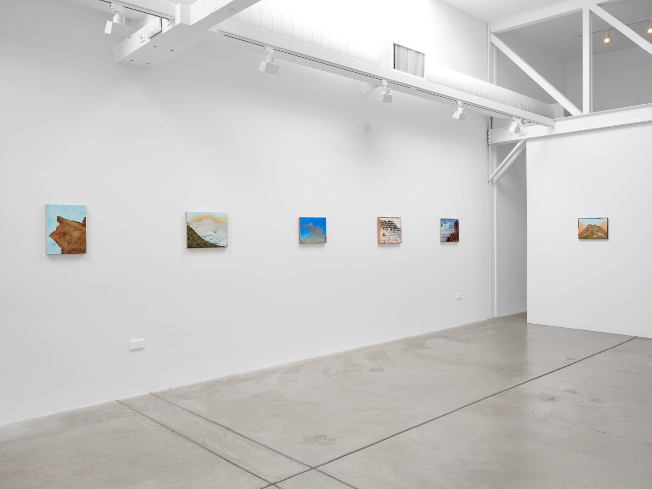 Caragh Thuring - - Exhibitions - Anthony Meier