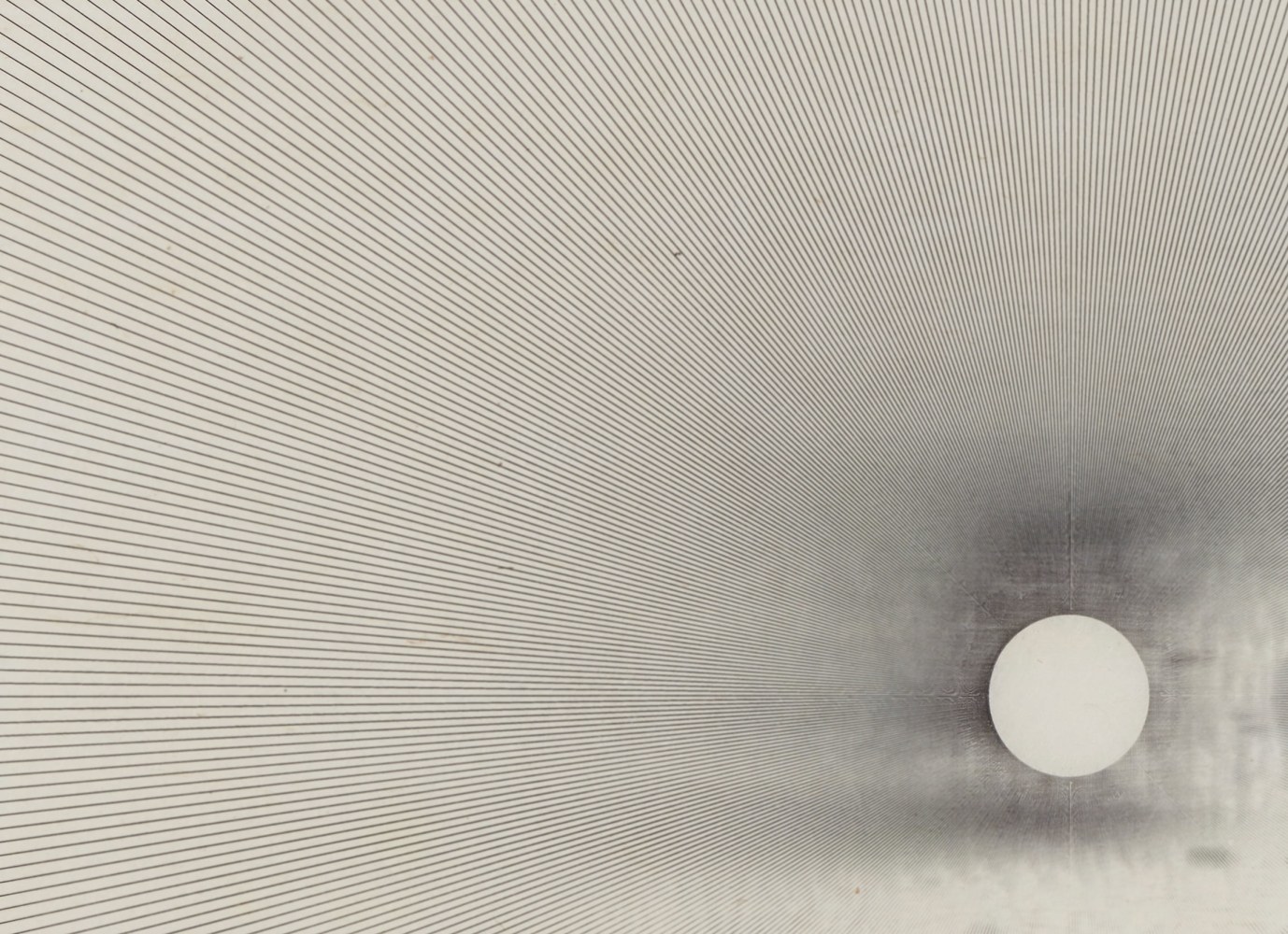 Marsha Cottrell - Artists - Anthony Meier