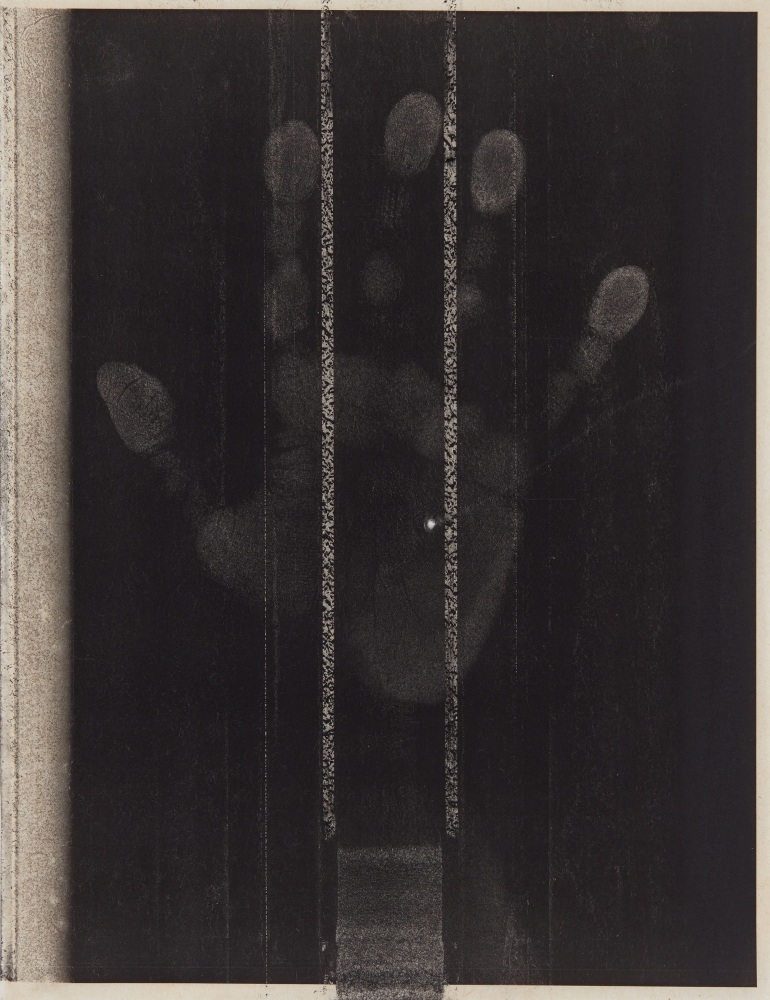 Marsha Cottrell - Artists - Anthony Meier