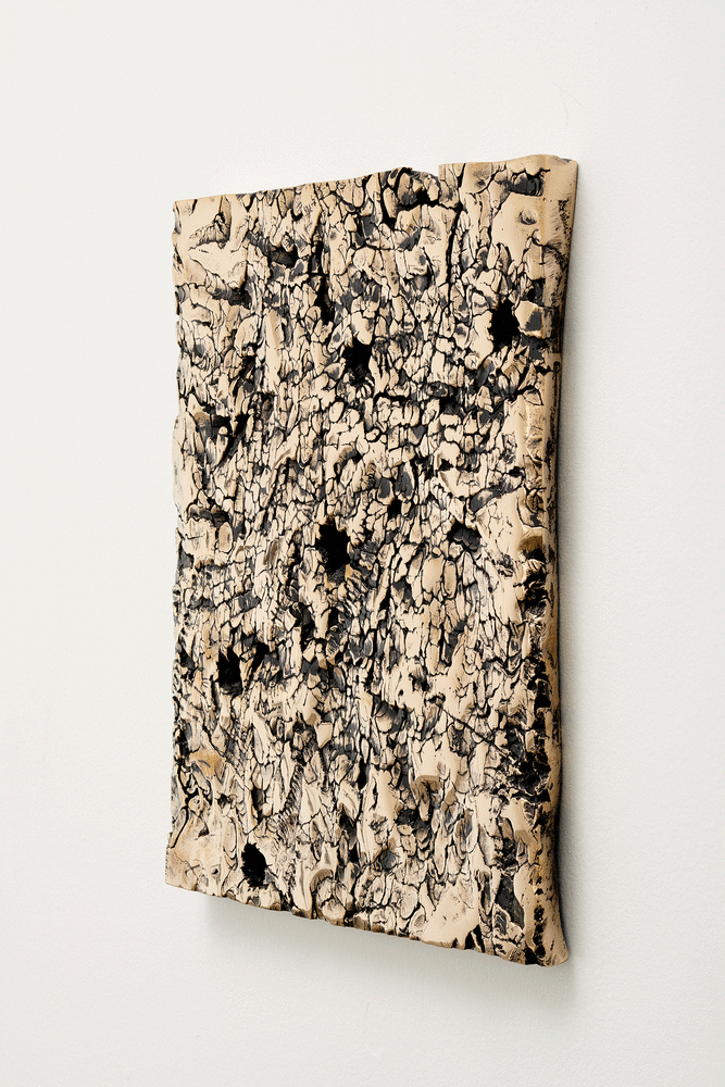 Homage to a Circle: Tammy Rae Carland, Marsha Cottrell, Zoe Leonard ...