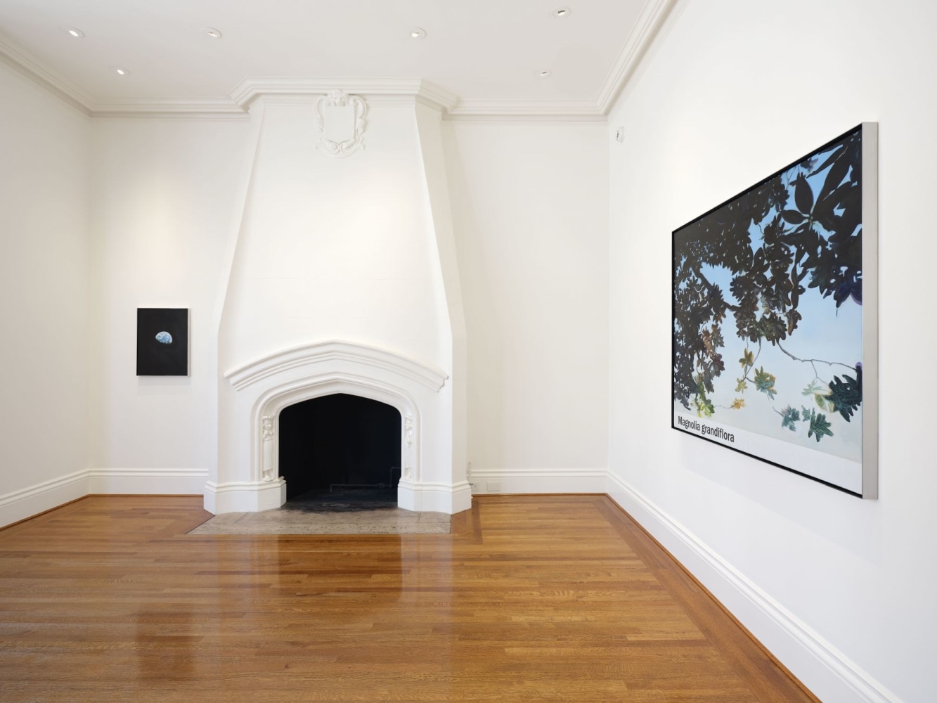 Rob Reynolds - Overview - Exhibitions - Anthony Meier