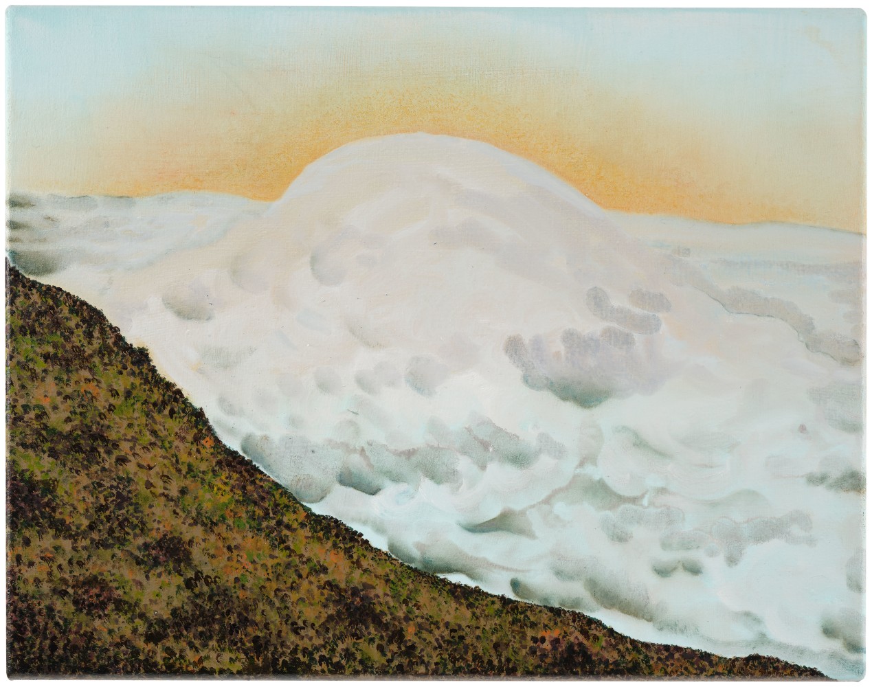 Caragh Thuring - - Exhibitions - Anthony Meier