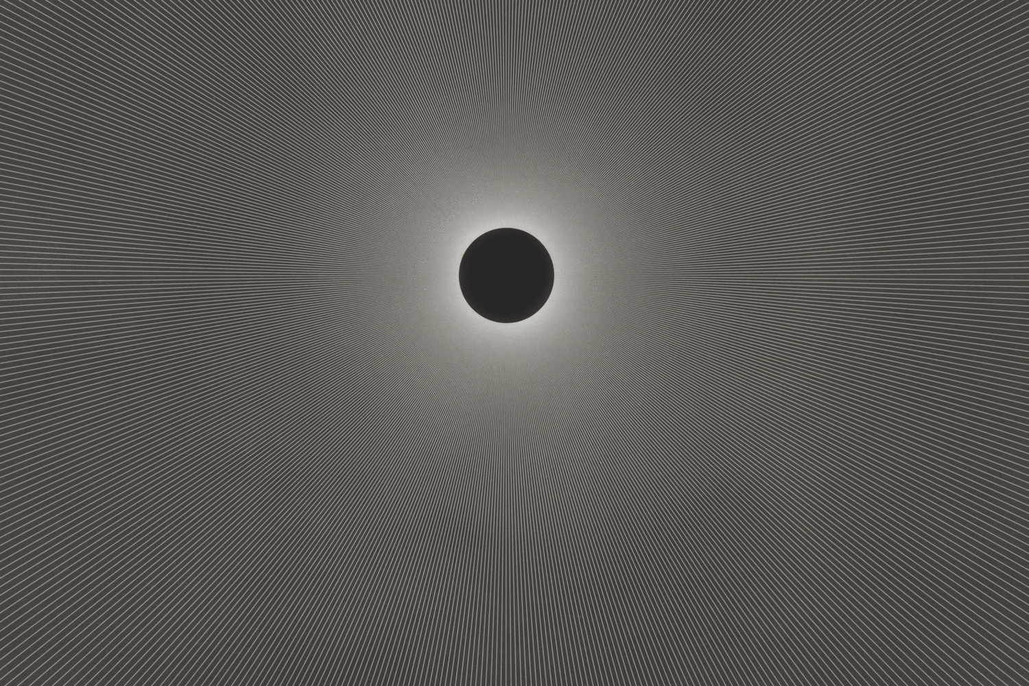 Homage to a Circle: Tammy Rae Carland, Marsha Cottrell, Zoe Leonard ...