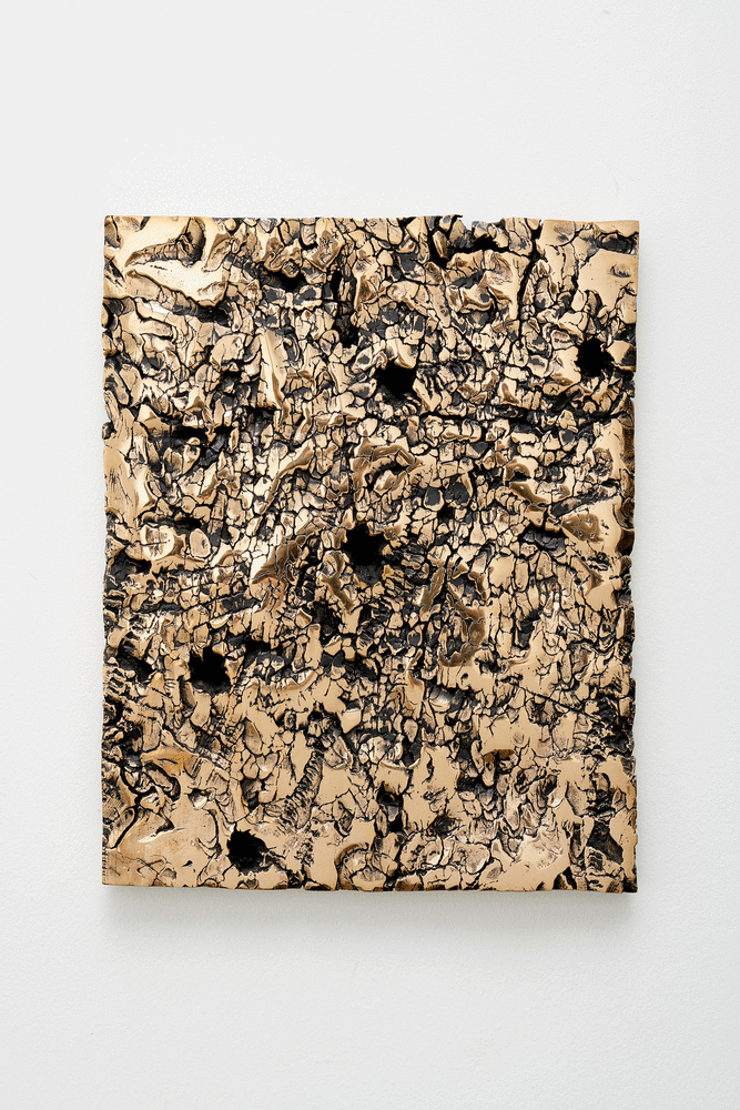 Homage to a Circle: Tammy Rae Carland, Marsha Cottrell, Zoe Leonard ...