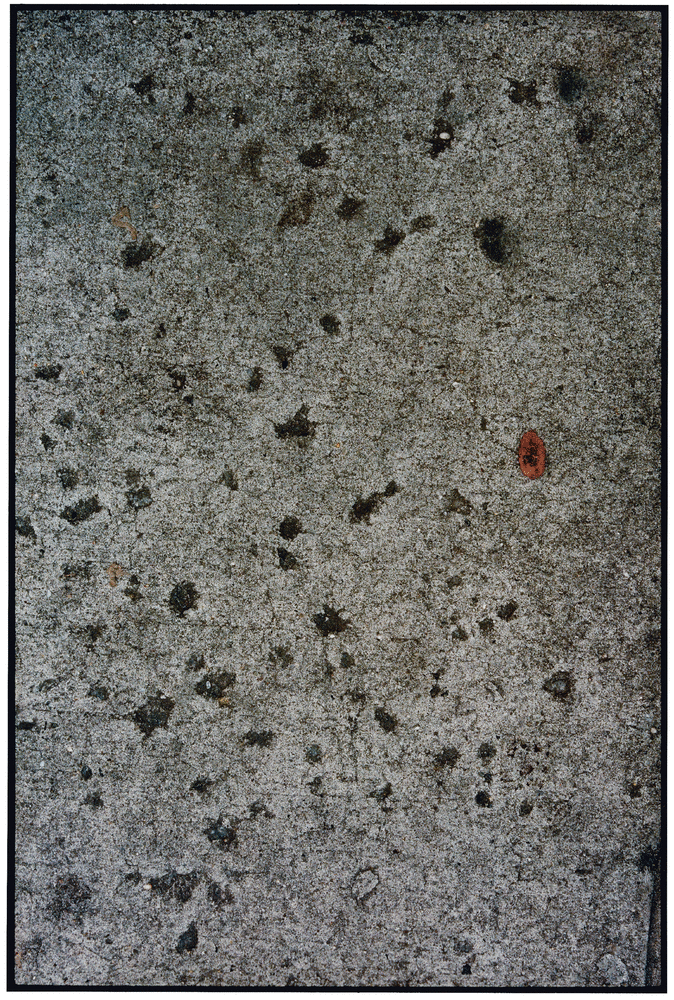 Homage to a Circle: Tammy Rae Carland, Marsha Cottrell, Zoe Leonard ...