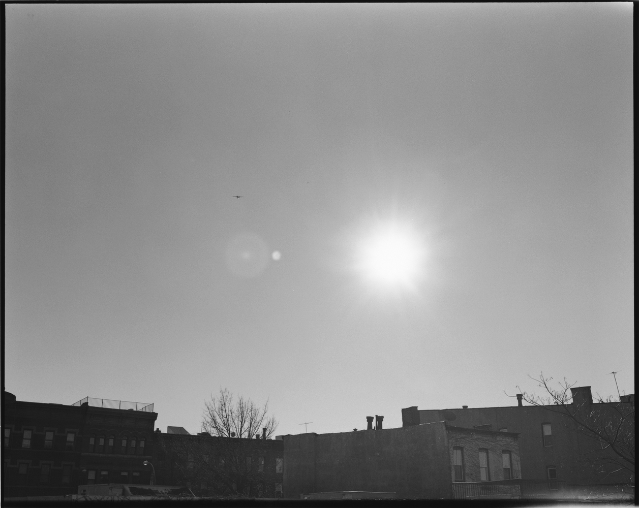 Homage to a Circle: Tammy Rae Carland, Marsha Cottrell, Zoe Leonard ...