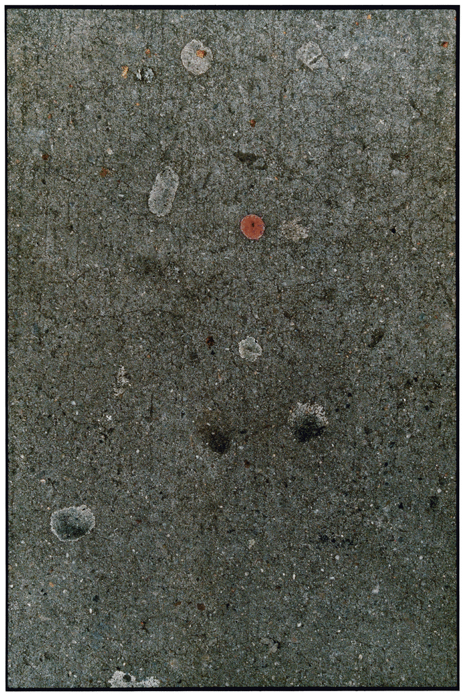 Homage to a Circle: Tammy Rae Carland, Marsha Cottrell, Zoe Leonard ...