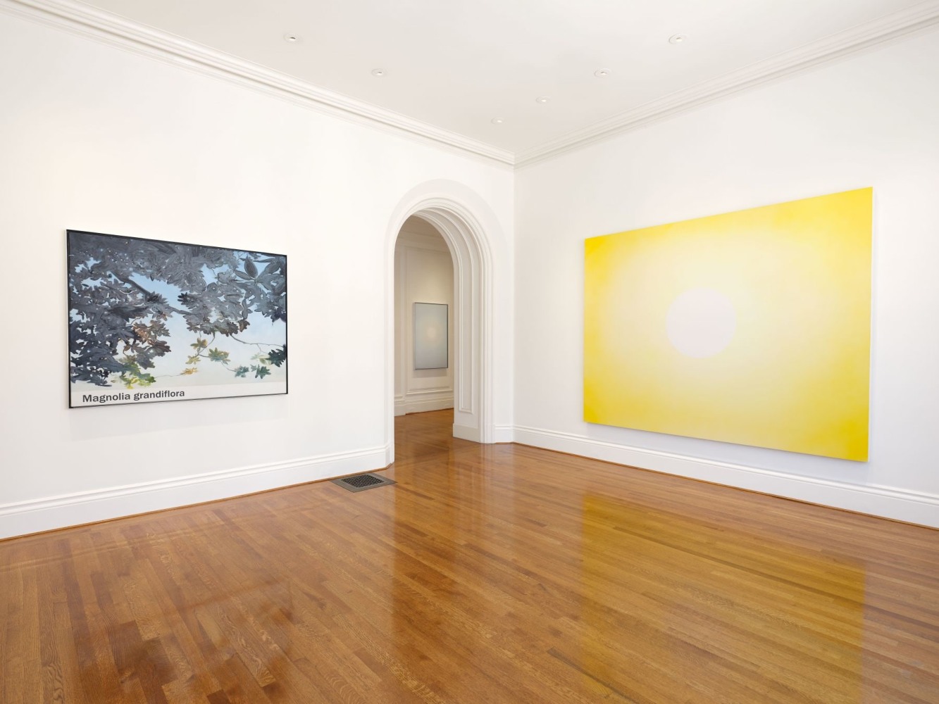 Rob Reynolds - Overview - Exhibitions - Anthony Meier