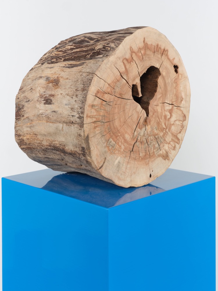 Jesse Schlesinger - Artists - Anthony Meier