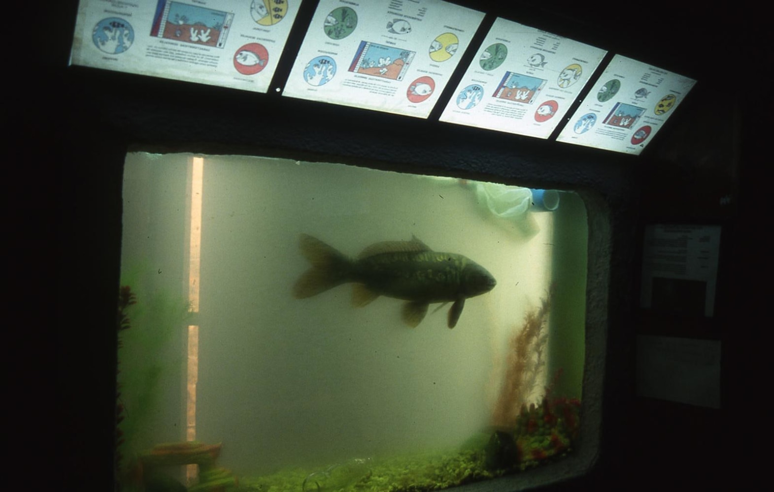 miguel calderón - Artists - Kurimanzutto