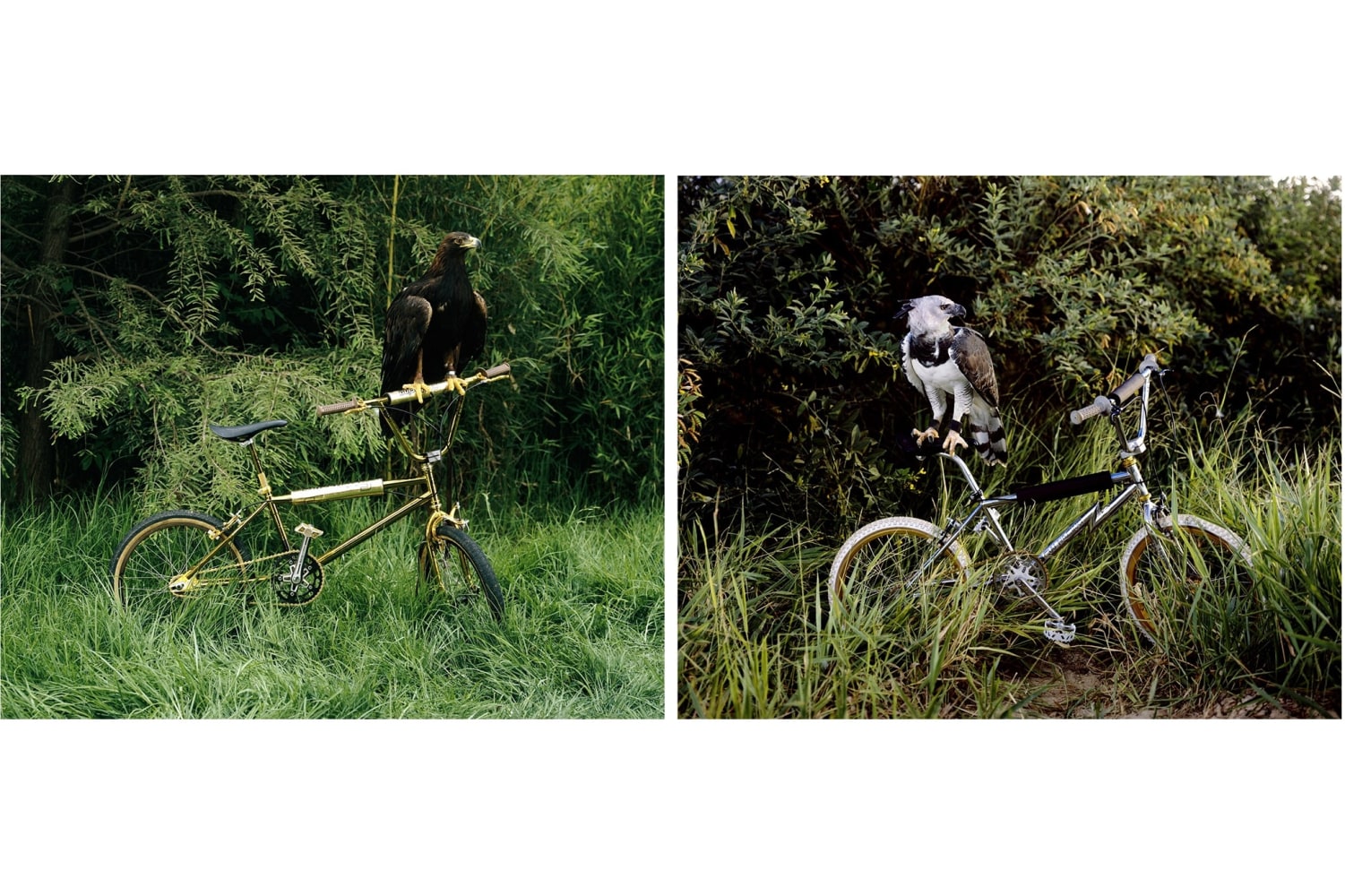 miguel calderón - Artists - Kurimanzutto