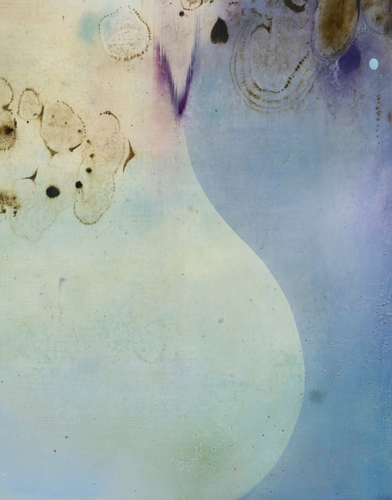 Darren Waterston: Notes from the Air - - Viewing Room - DC Moore ...