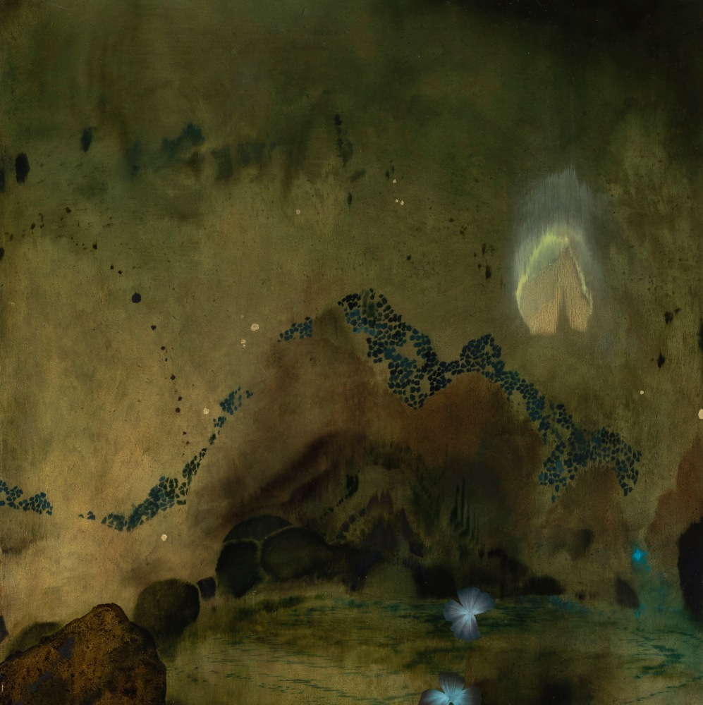 Darren Waterston: Notes from the Air - - Viewing Room - DC Moore ...