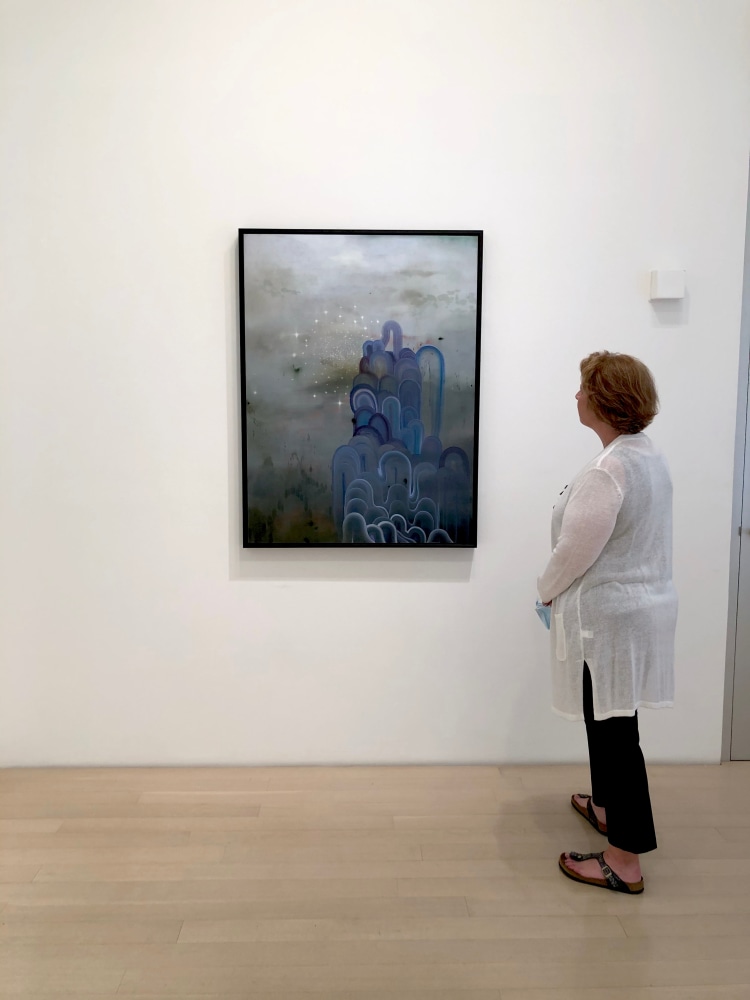 Darren Waterston: Notes from the Air - - Viewing Room - DC Moore ...