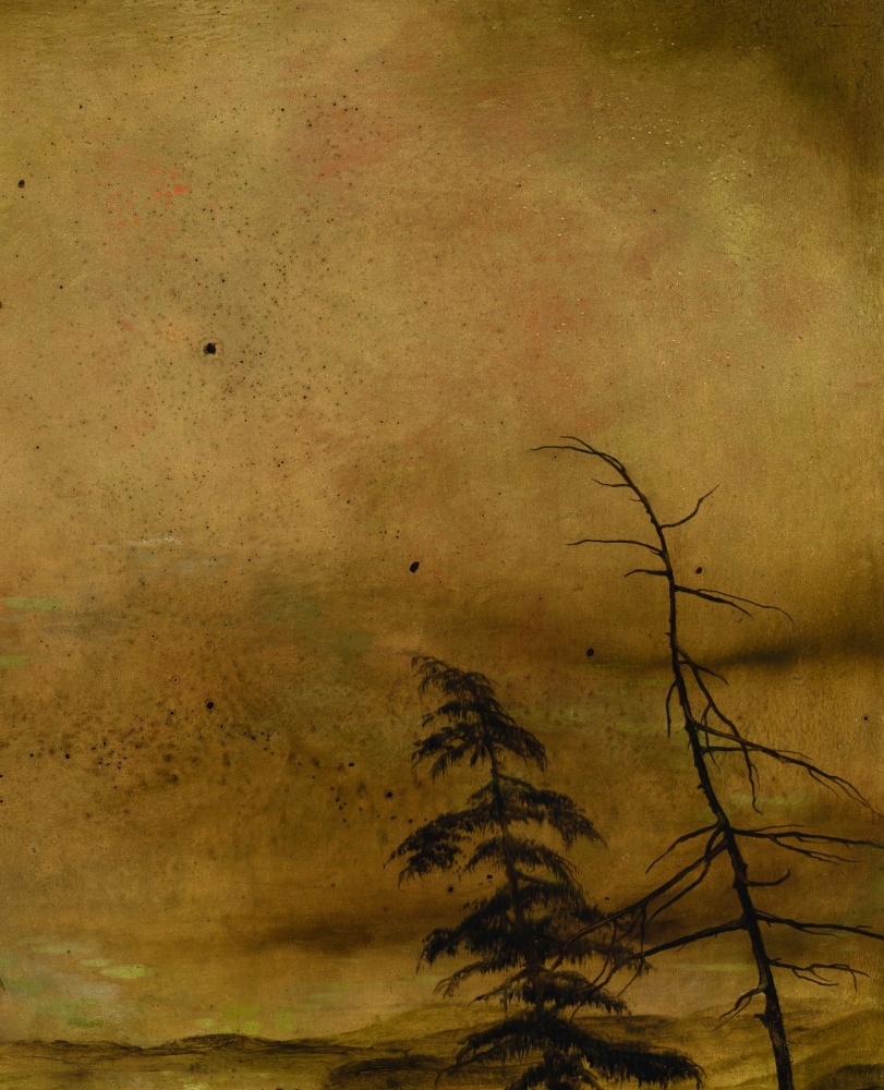 Darren Waterston: Notes from the Air - - Viewing Room - DC Moore ...