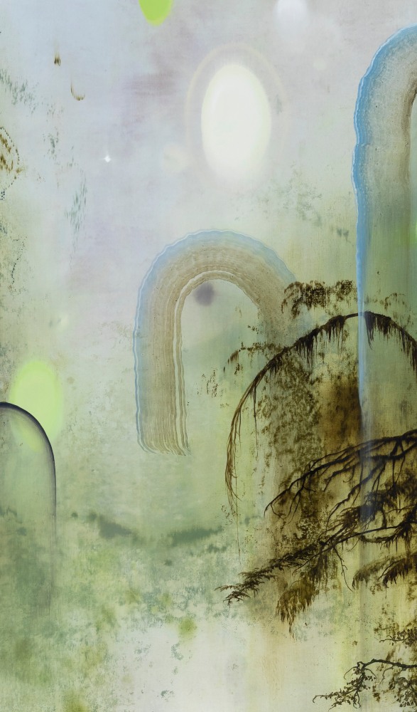 Darren Waterston: Notes from the Air - - Viewing Room - DC Moore ...