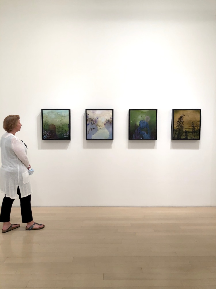 Darren Waterston: Notes from the Air - - Viewing Room - DC Moore ...