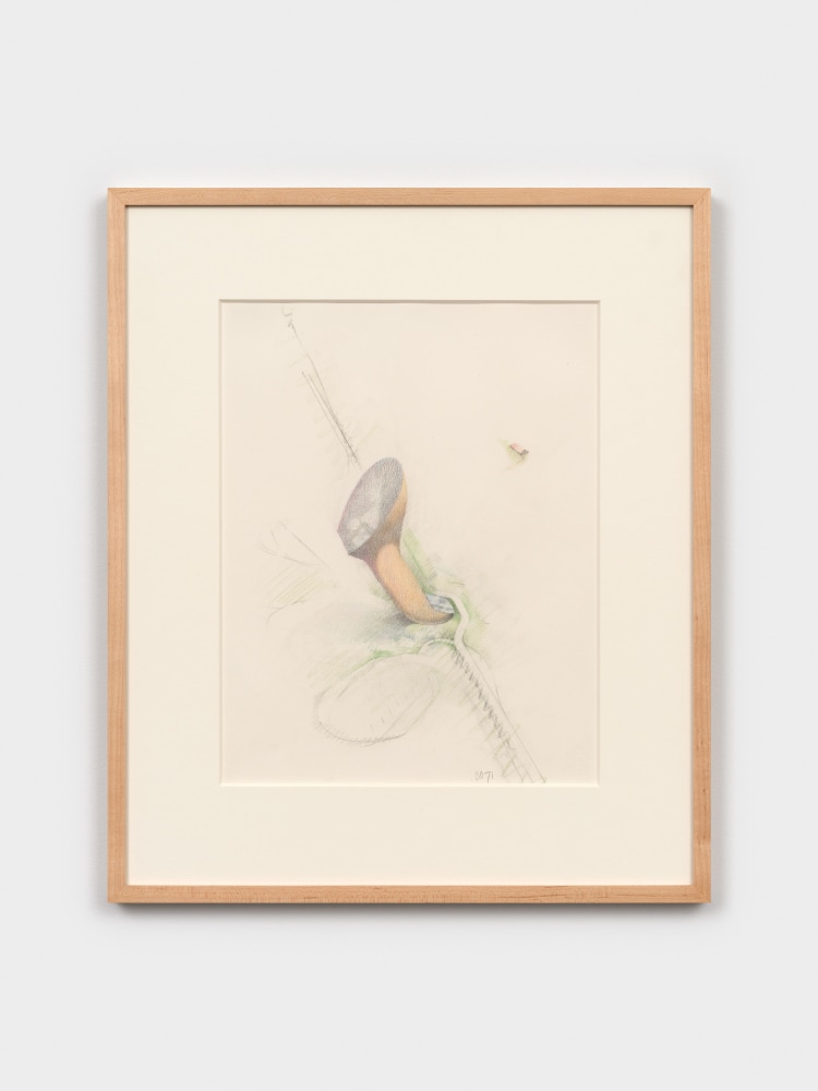 Art Basel - Messe Basel, Hall 2.0, Booth B17 - Fairs - Paula Cooper Gallery