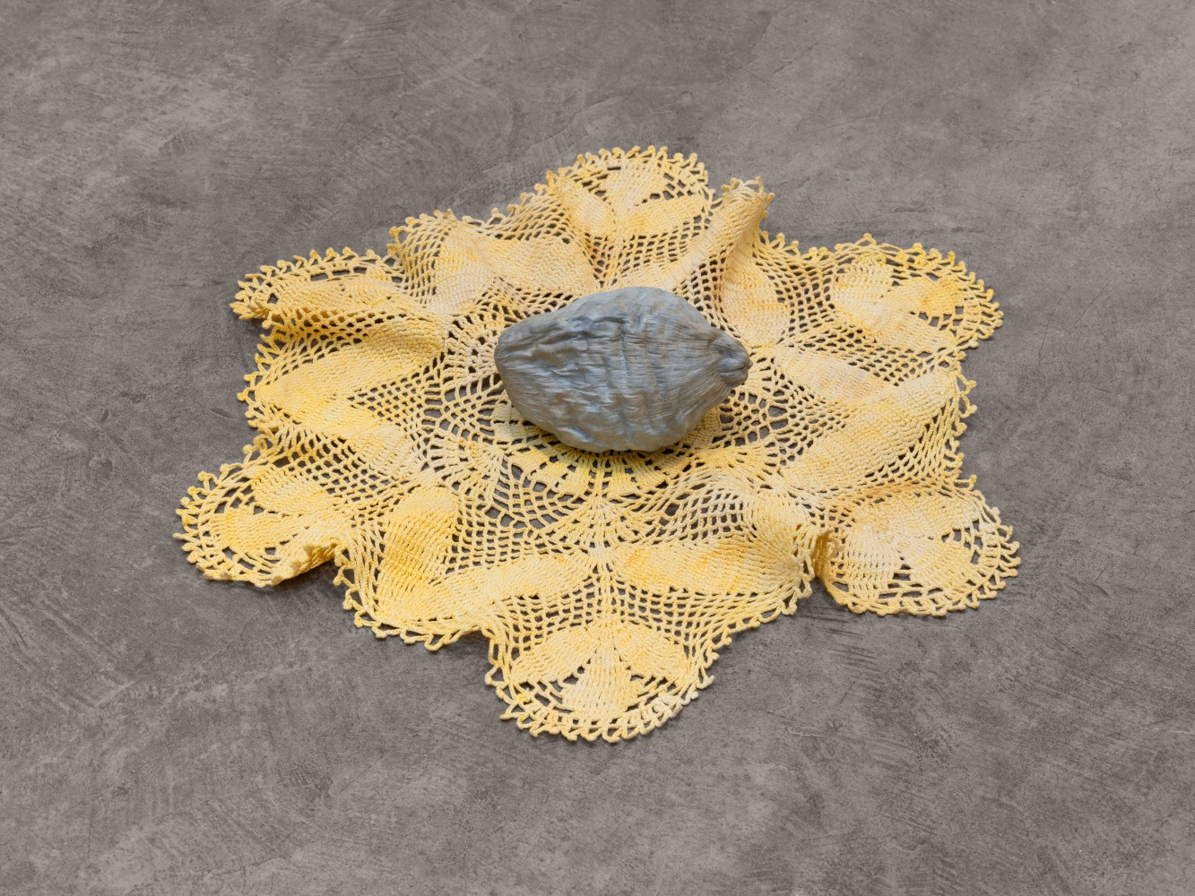 Veronica Ryan - Artists - Paula Cooper Gallery