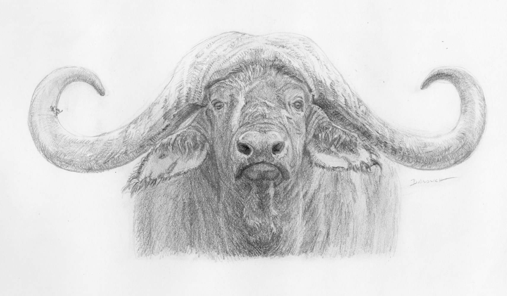 2023 Collection - John Banovich 2023 Collection - Viewing Room - John ...