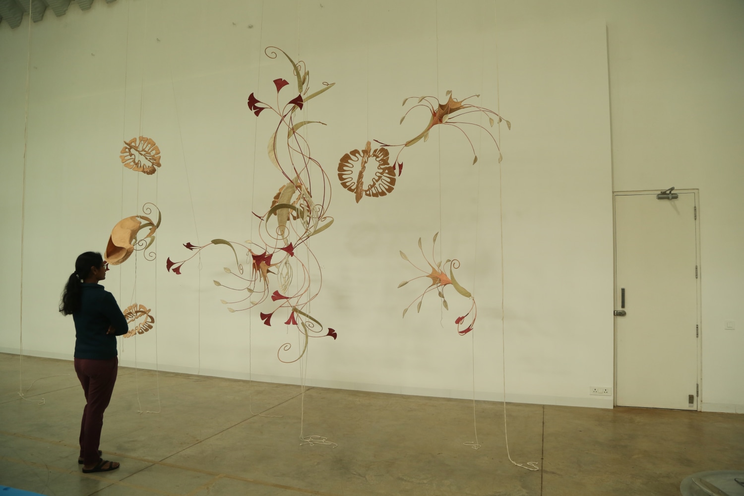 Ranjani Shettar - Exhibitions - Talwar Gallery