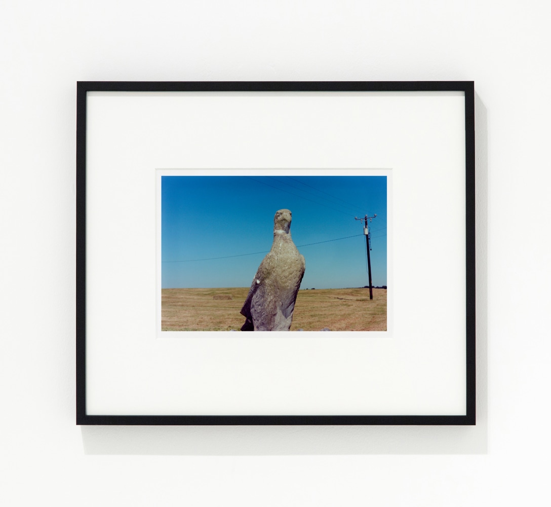 Samuel Laurence Cunnane - Artists - Kerlin Gallery