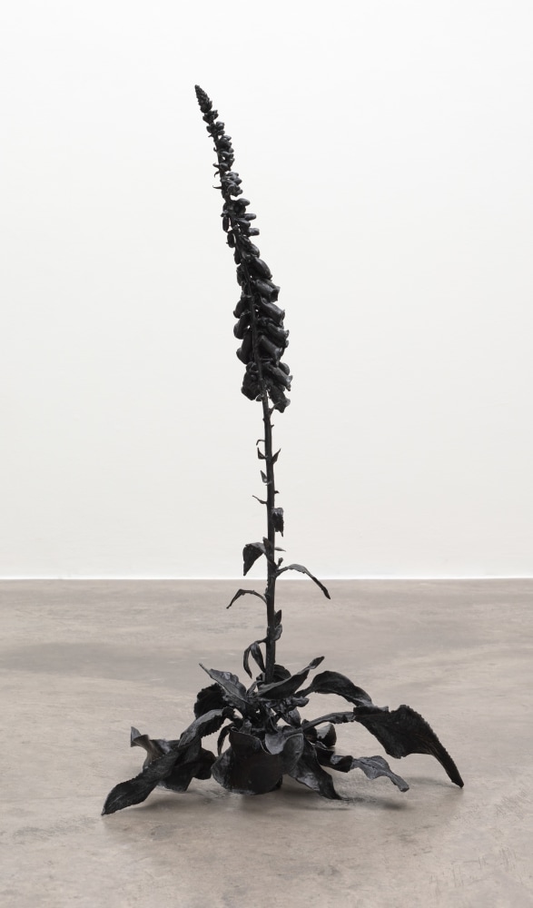 Dorothy Cross - Artists - Kerlin Gallery