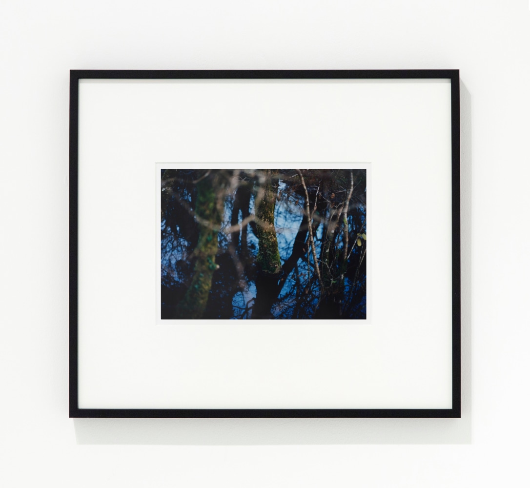 Samuel Laurence Cunnane - Artists - Kerlin Gallery