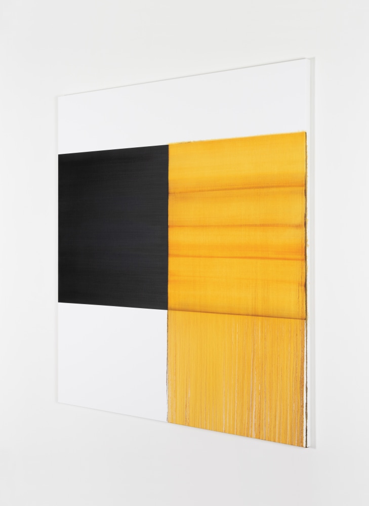 Callum Innes - Artists - Kerlin Gallery