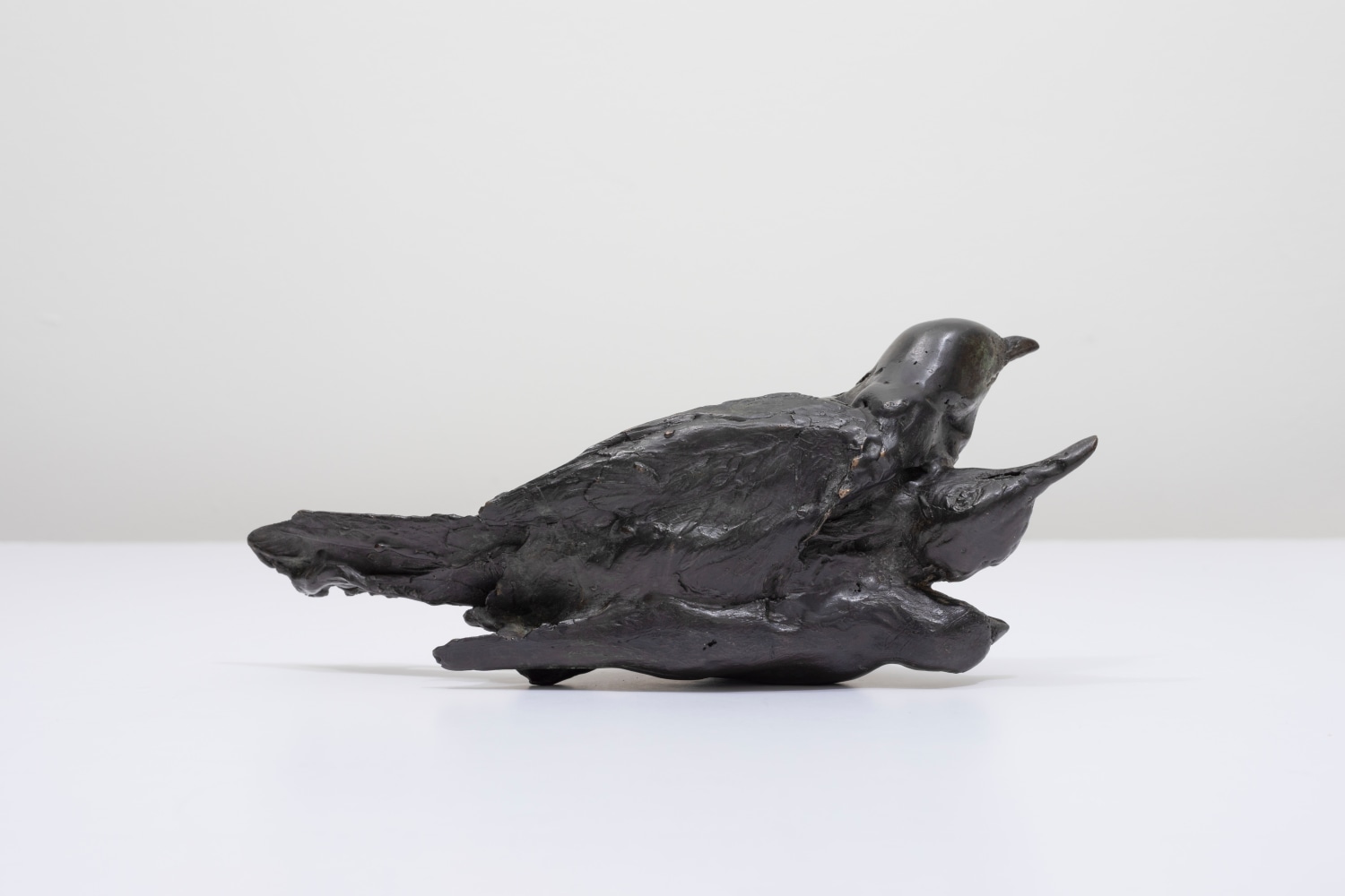 Dorothy Cross - Artists - Kerlin Gallery