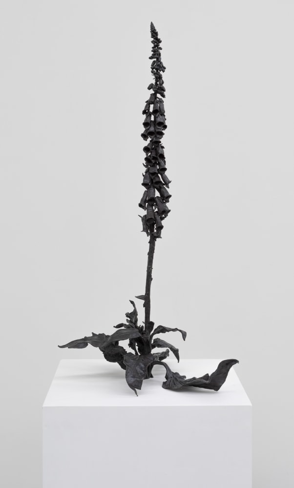 Dorothy Cross - Artists - Kerlin Gallery