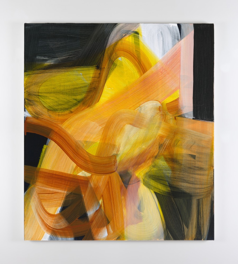 Liliane Tomasko - Artists - Kerlin Gallery