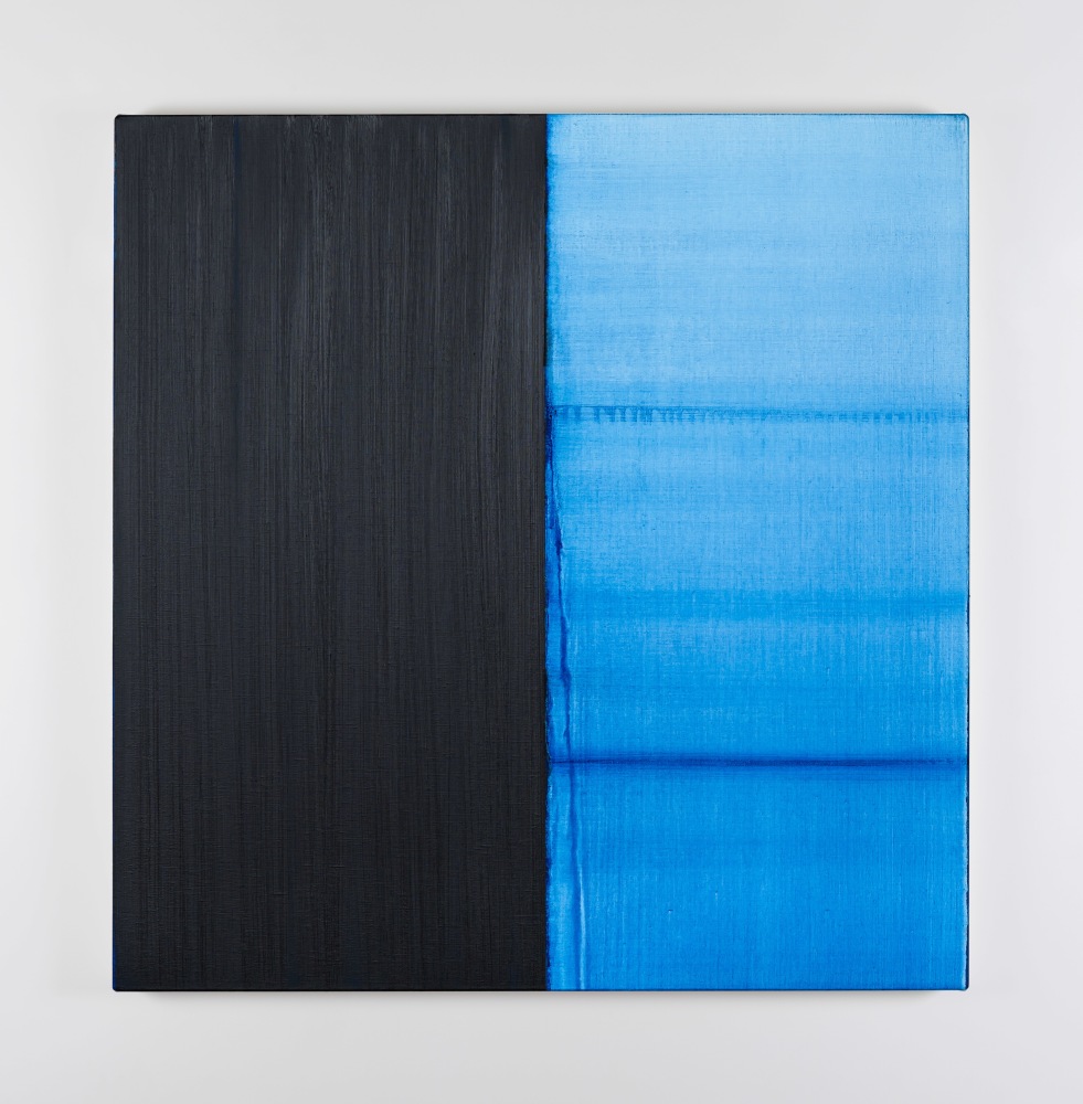 Callum Innes - Artists - Kerlin Gallery