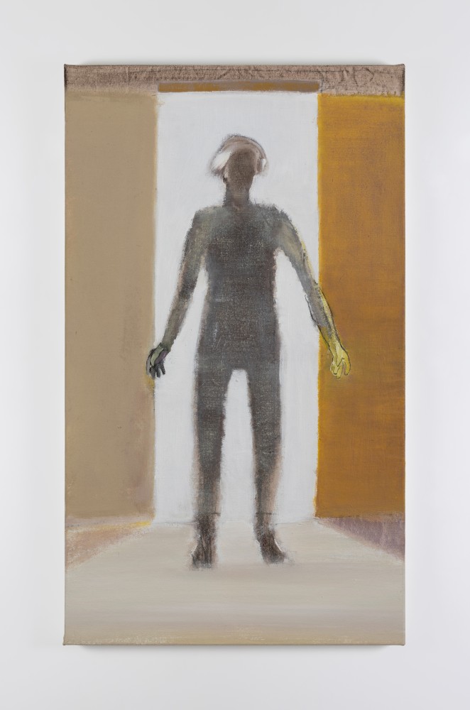 Merlin James - Artists - Kerlin Gallery