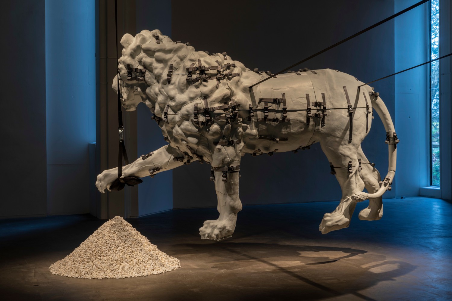 Siobhán Hapaska - Artists - Kerlin Gallery