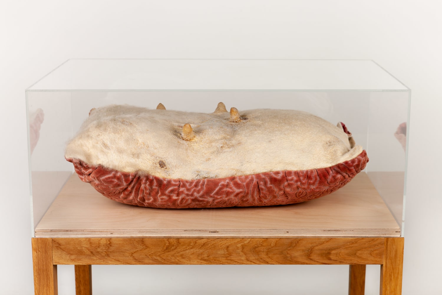 Dorothy Cross in Acts of Creation: On Art and Motherhood - Arnolfini ...