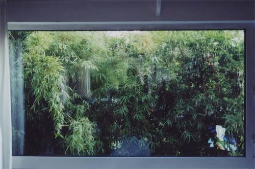 Samuel Laurence Cunnane and Ryan Moffett - Fortnightly Features ...