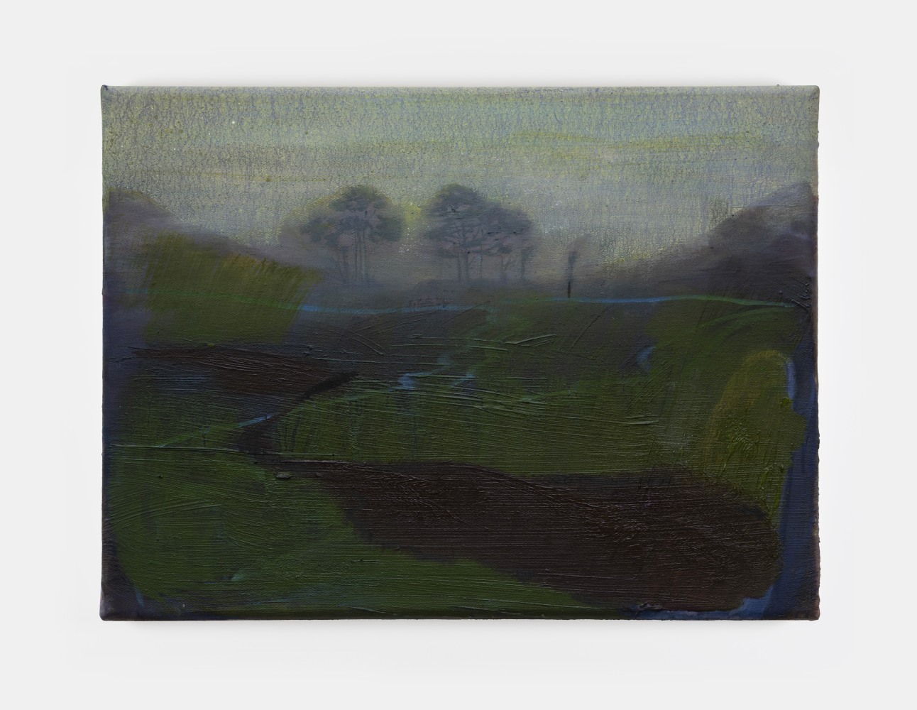 Elizabeth Magill - Artists - Kerlin Gallery