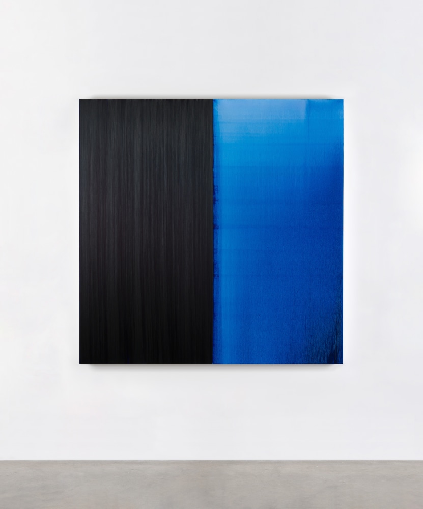 Callum Innes - Artists - Kerlin Gallery