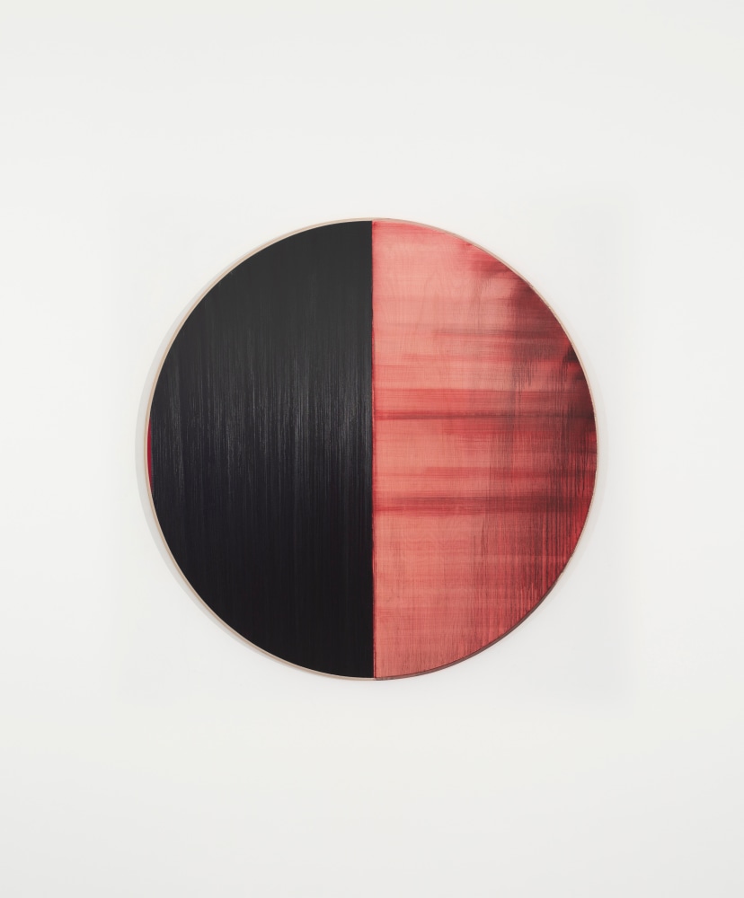 Callum Innes - Artists - Kerlin Gallery