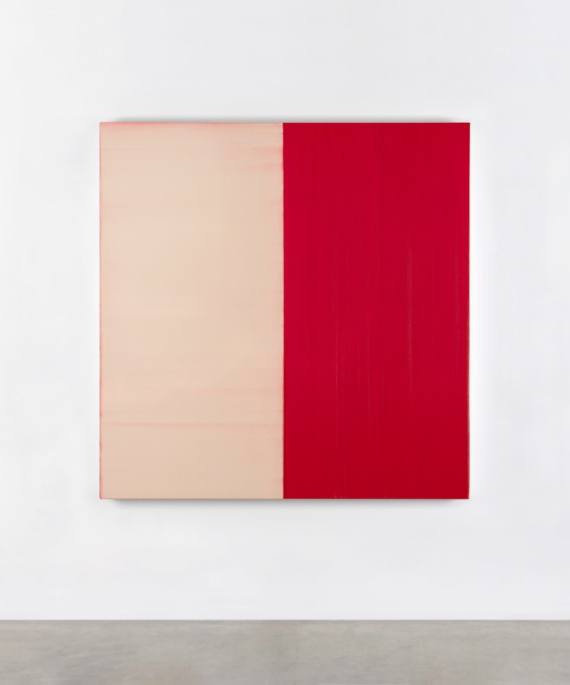 Callum Innes - Artists - Kerlin Gallery