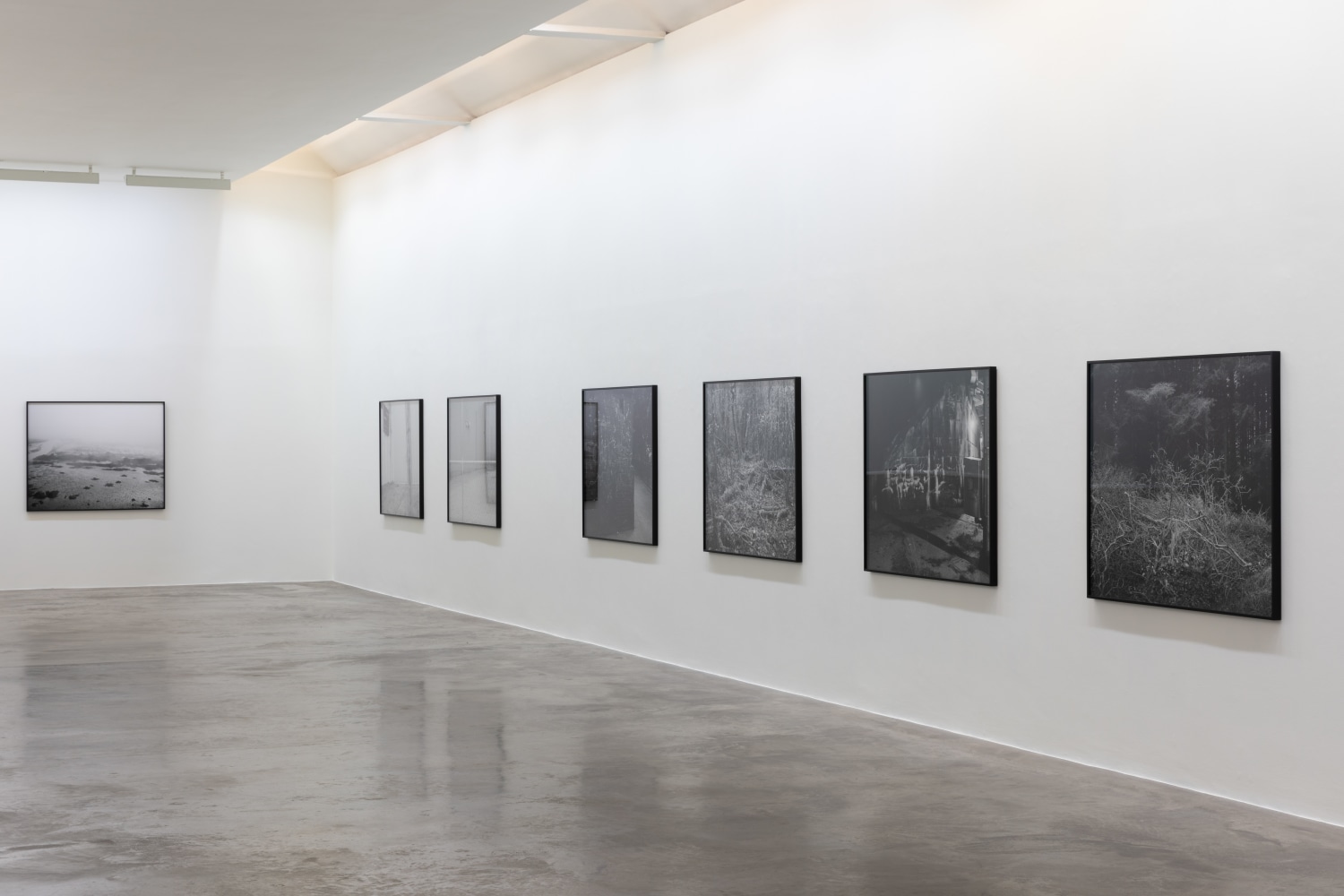 Willie Doherty - IS AND IS NOT - Exhibitions - Kerlin Gallery