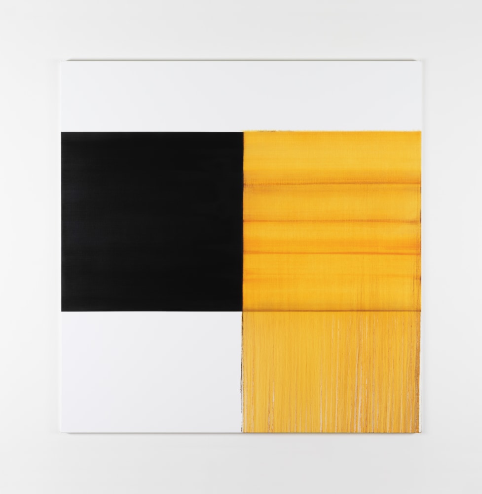 Callum Innes - Artists - Kerlin Gallery