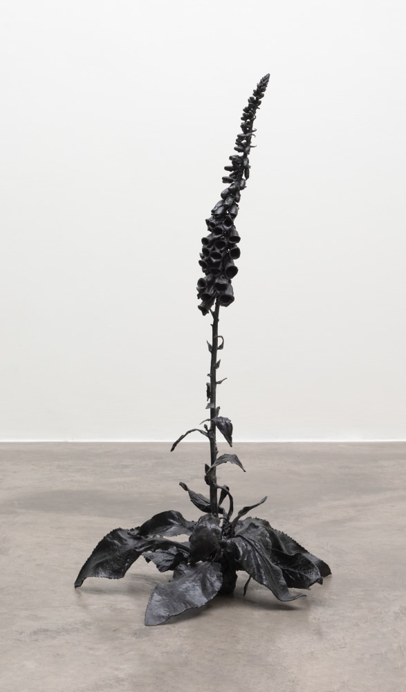 Dorothy Cross - Artists - Kerlin Gallery