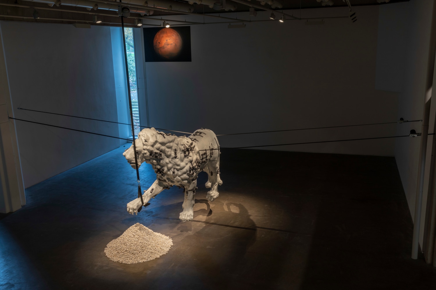 Siobhán Hapaska - Artists - Kerlin Gallery