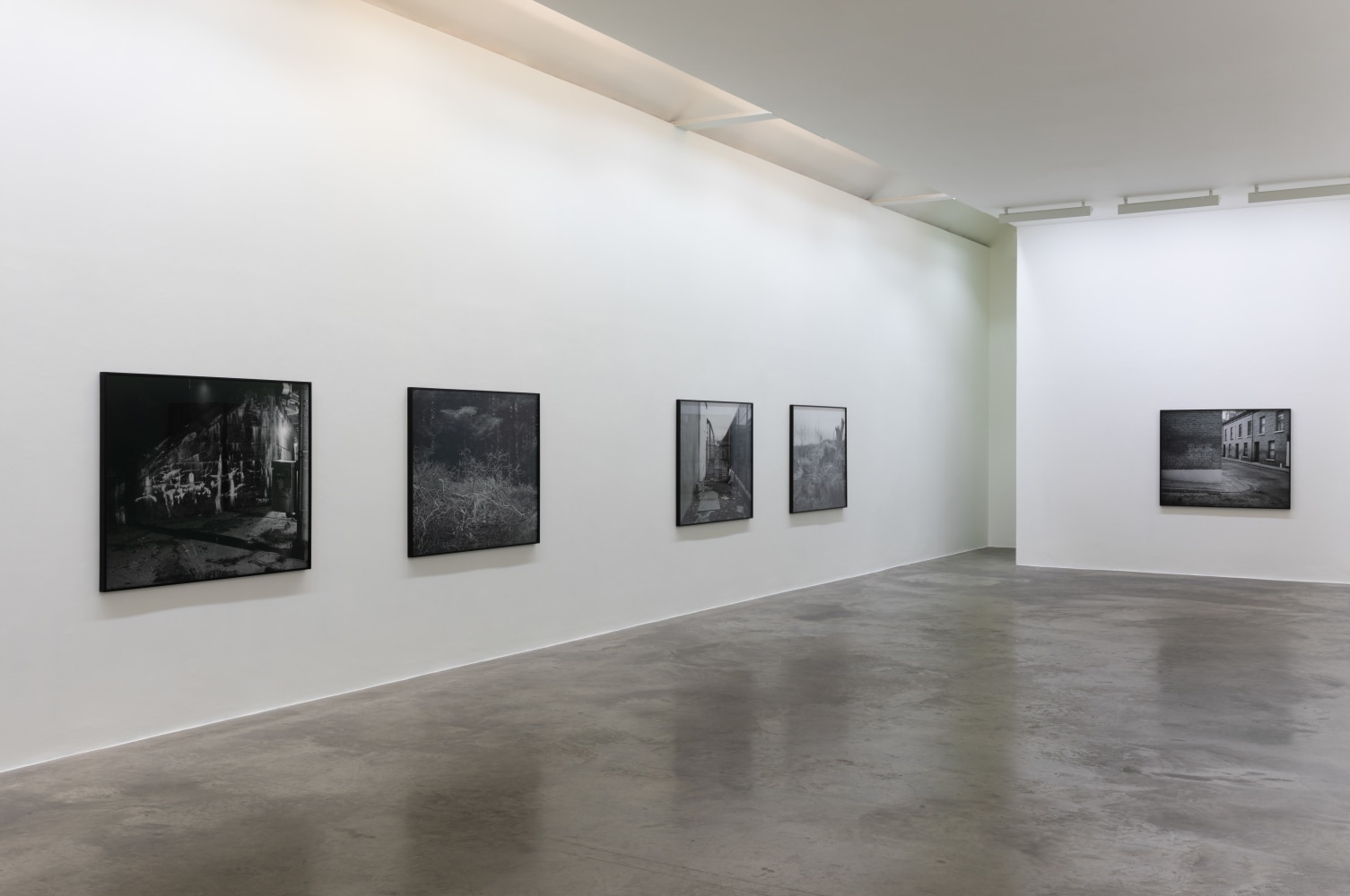 Willie Doherty - IS AND IS NOT - Exhibitions - Kerlin Gallery