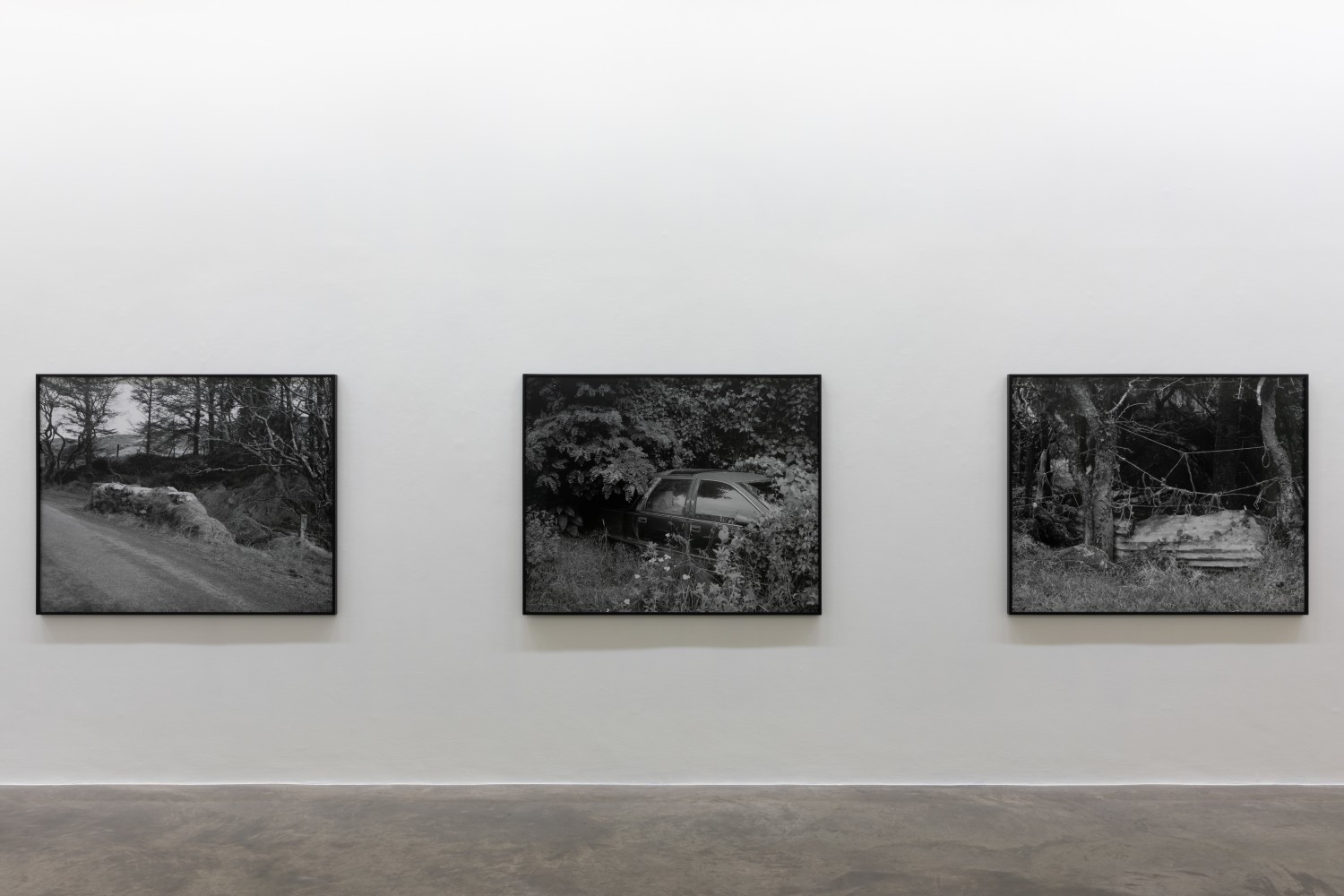 Willie Doherty - IS AND IS NOT - Exhibitions - Kerlin Gallery